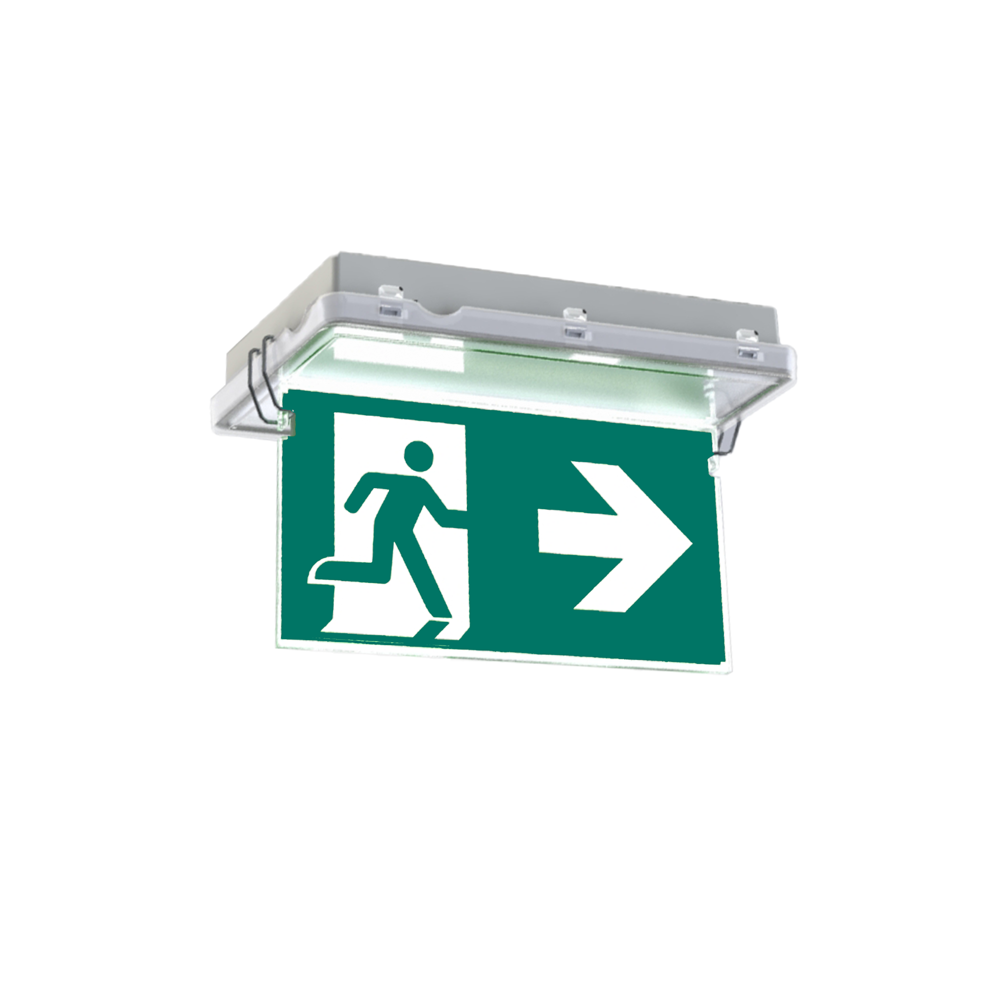 EXIT TORSECA | EAE Aydınlatma